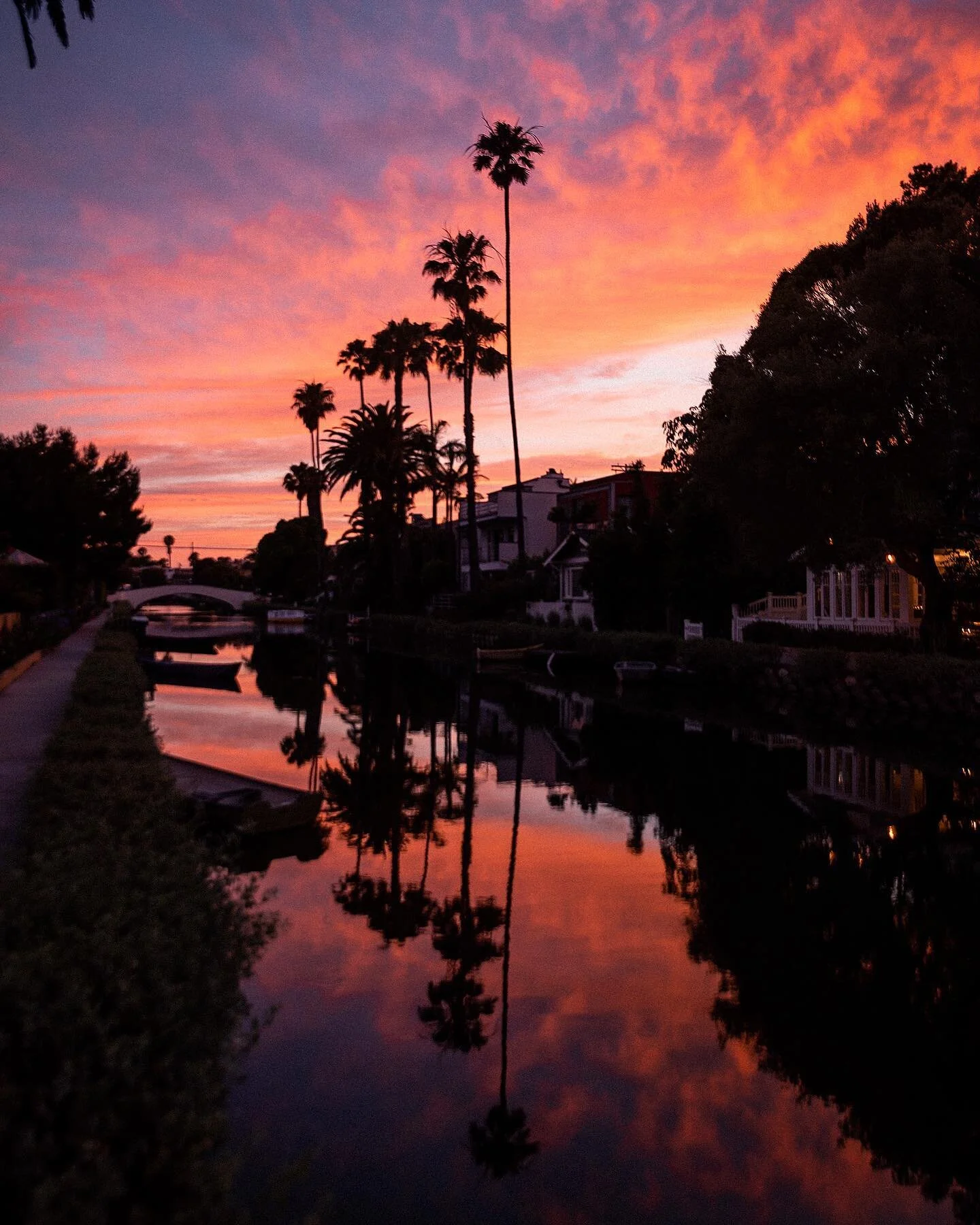 Gallery — Phillip ⚡ Silverstein