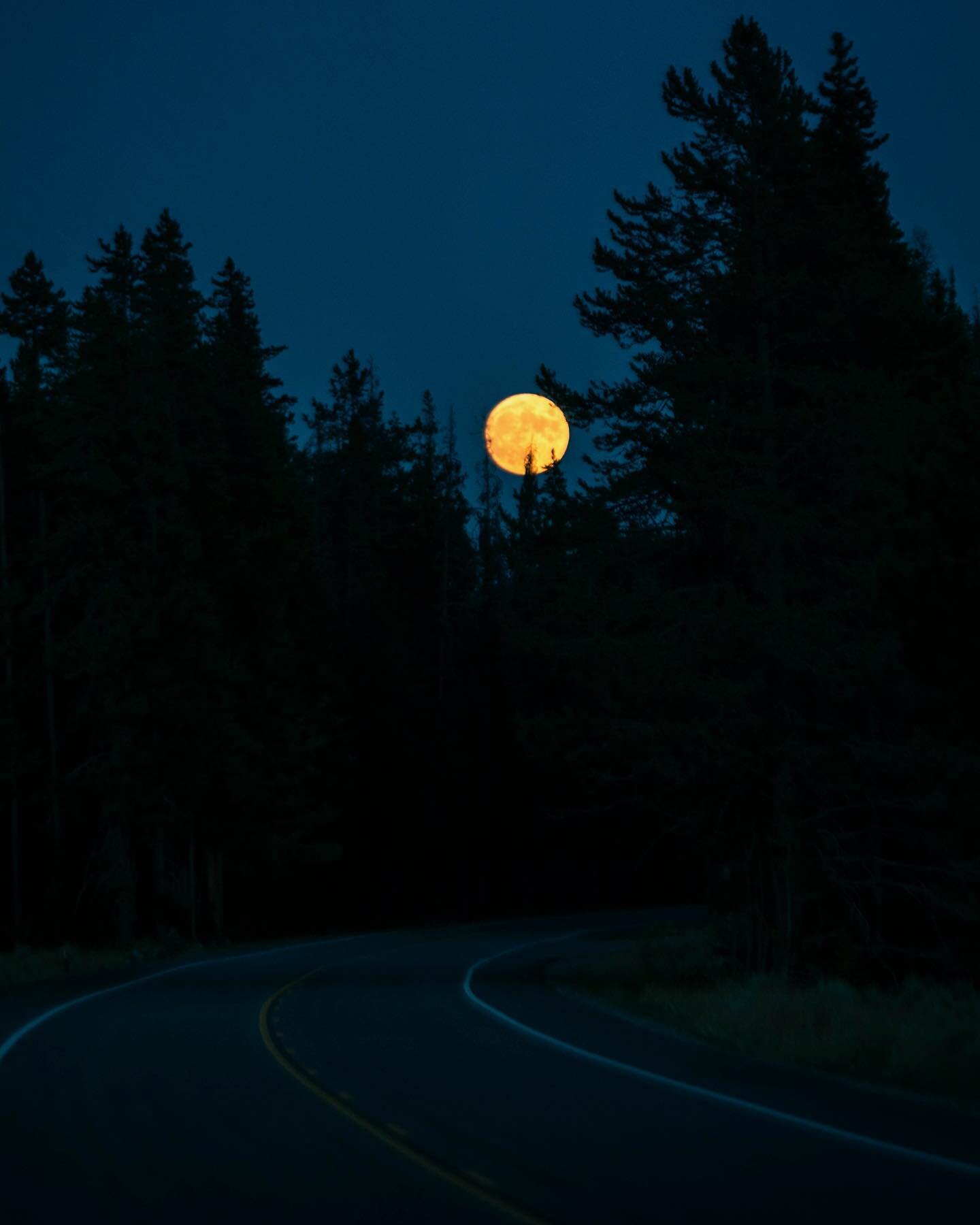 Gallery — Phillip ⚡ Silverstein