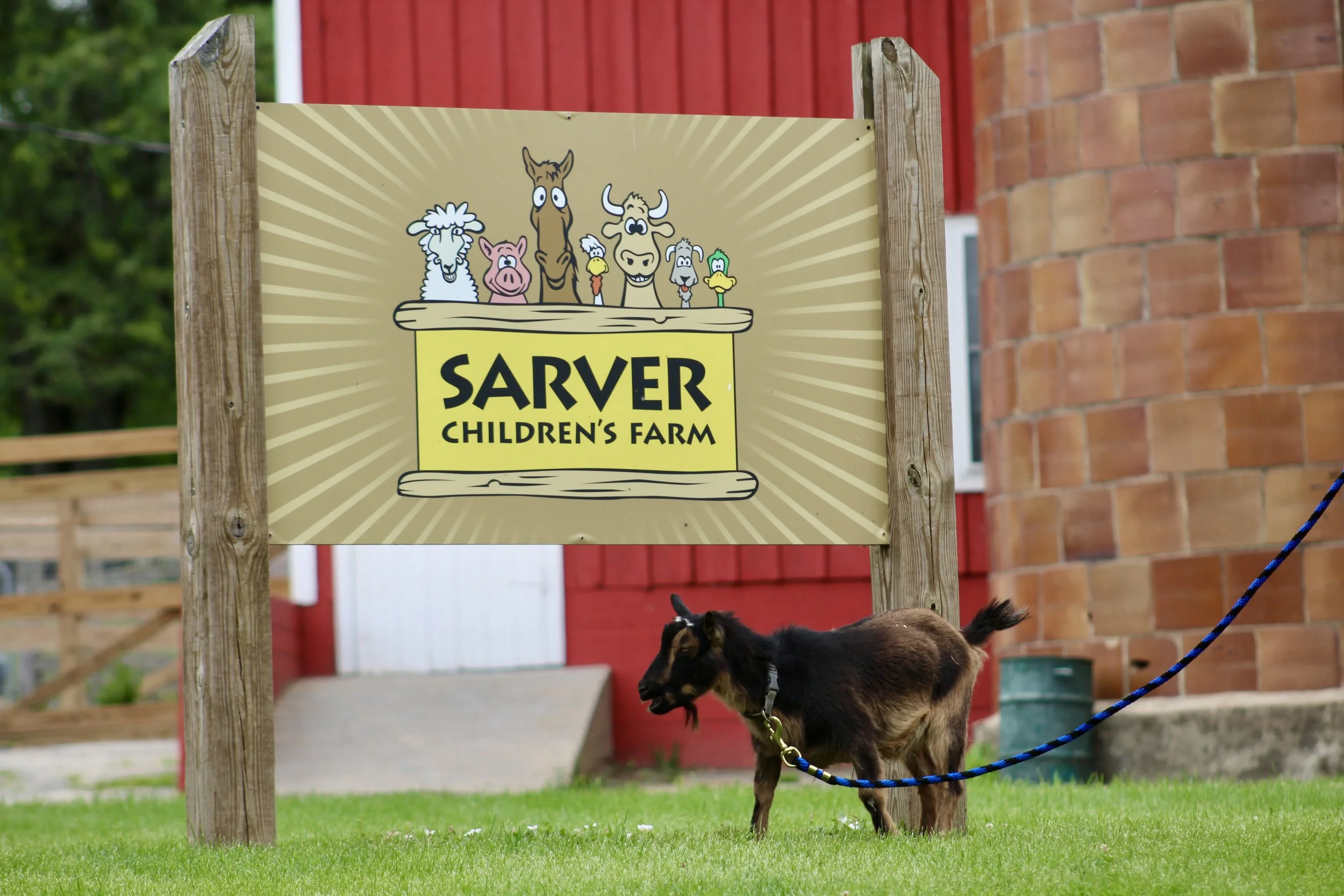 Saturdays on the Farm — Lockwood Park