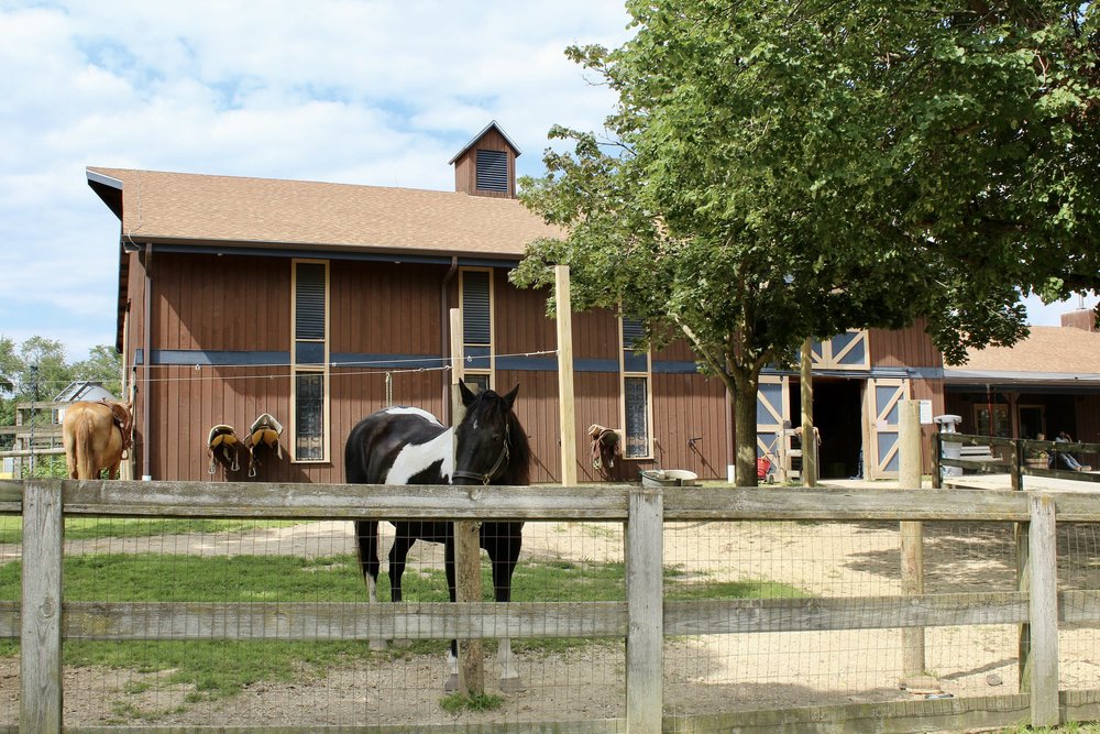 Lockwood Park | Discover Equine Experiences Today