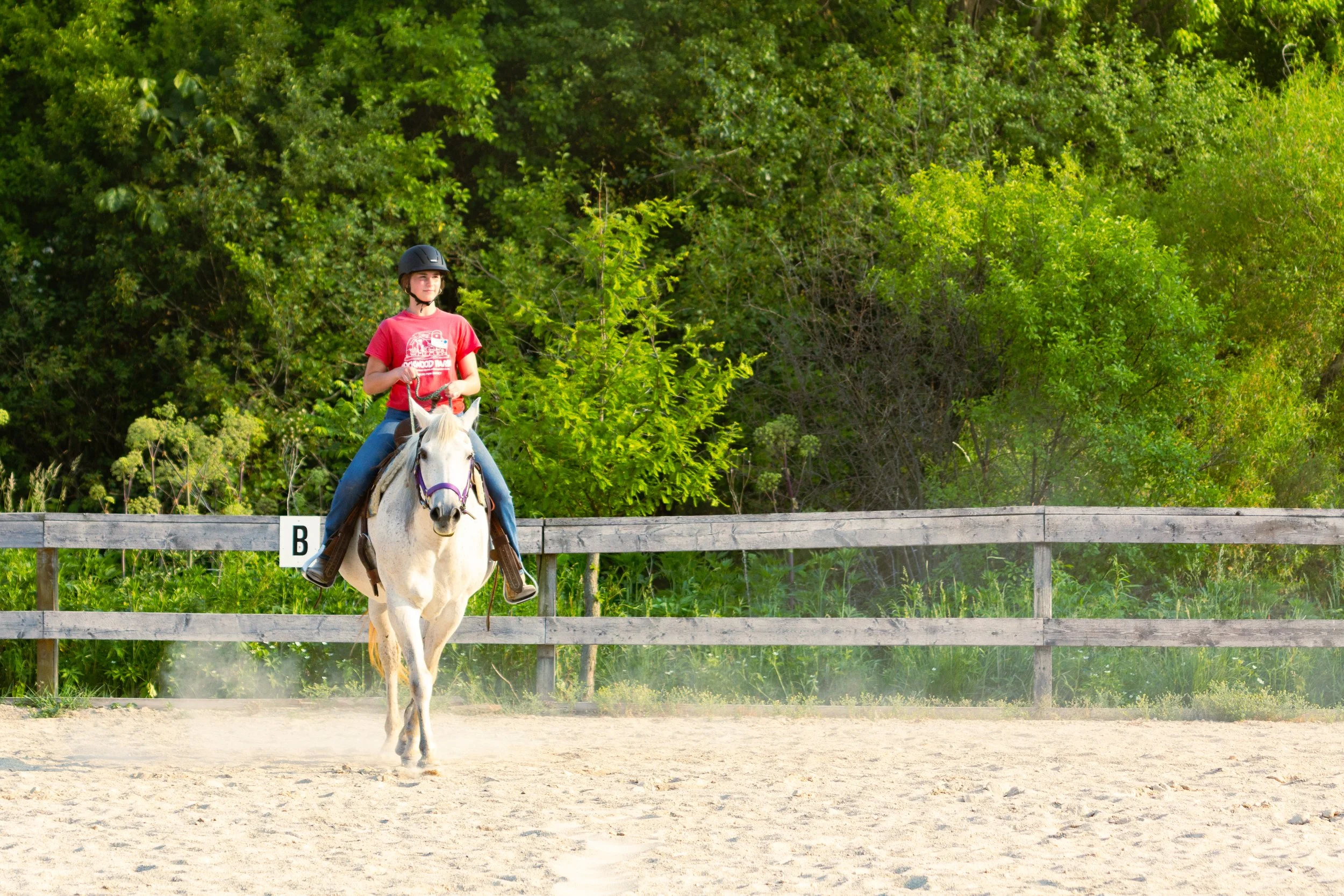 Private Lessons — Lockwood Park