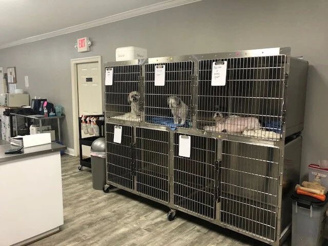 Veterinarian in Walker | Local Vet | Hope Veterinary Clinic