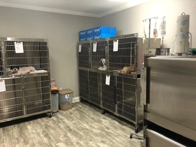 Veterinarian in Walker | Local Vet | Hope Veterinary Clinic