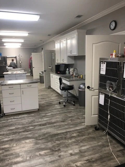 Veterinarian in Walker | Local Vet | Hope Veterinary Clinic
