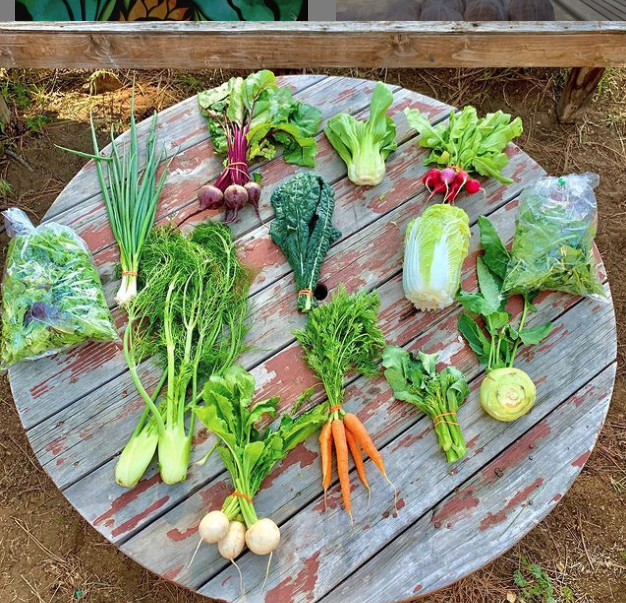 What's In a Produce Share? — Seed To Table - Sisters Oregon