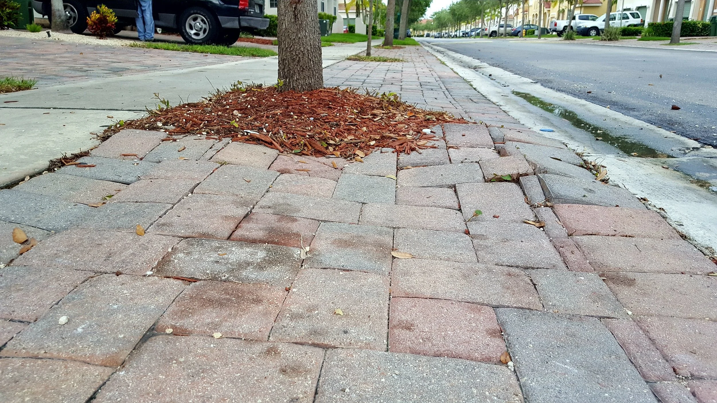 Before, During & After Pictures Of The Sidewalk Paver Repair Project ...