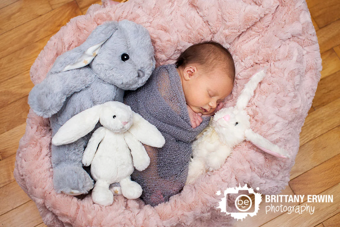 Favorite Newborn Portraits of 2017 | Indianapolis photographer ...