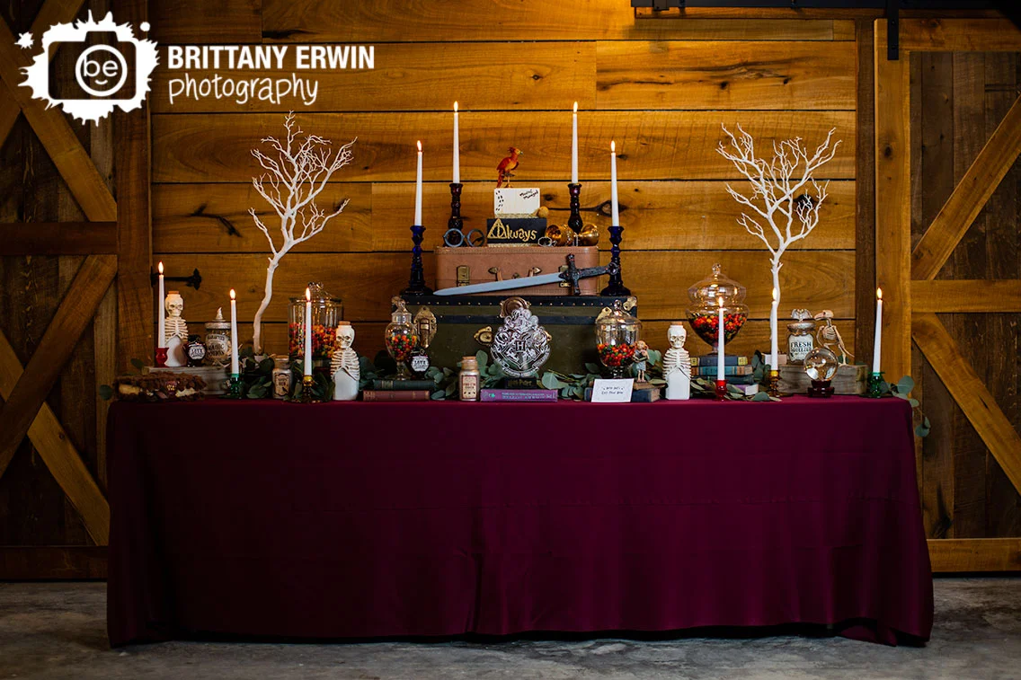 Rachel + Daniel = Magically Married | Harry Potter Themed Wedding Shoot ...