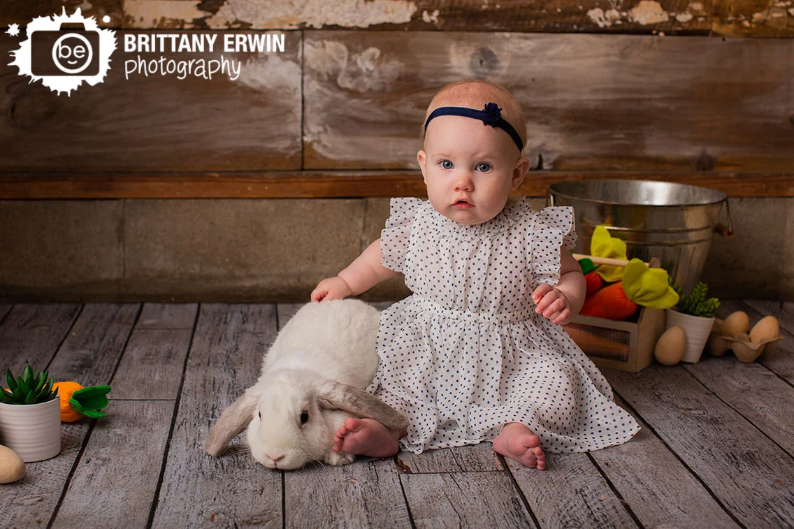 Spring mini sessions with baby chicks! | Speedway studio photographer ...