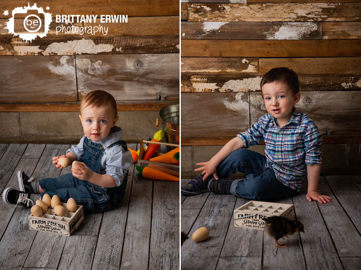 Spring mini sessions with baby chicks! | Speedway studio photographer ...