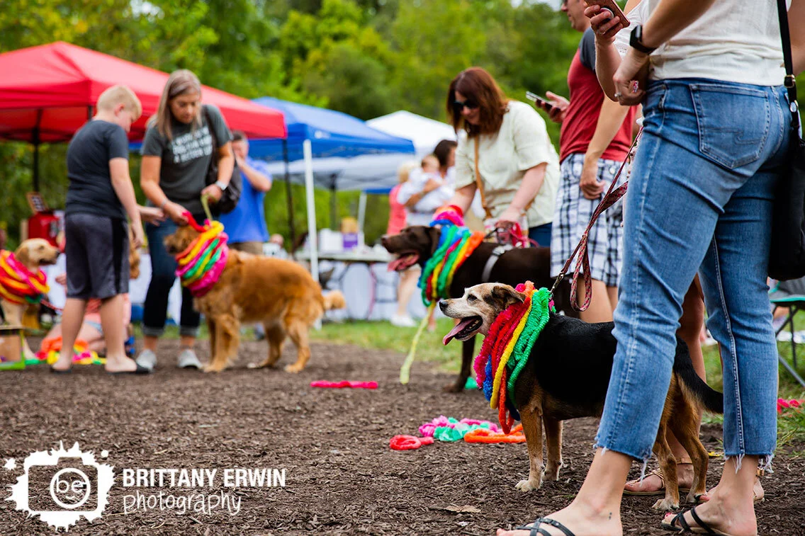 LOLIN Labapalooza | Mallow Run Winery event photography — Brittany ...