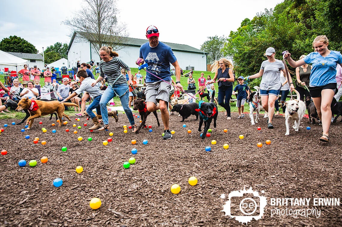 LOLIN Labapalooza | Mallow Run Winery event photography — Brittany ...