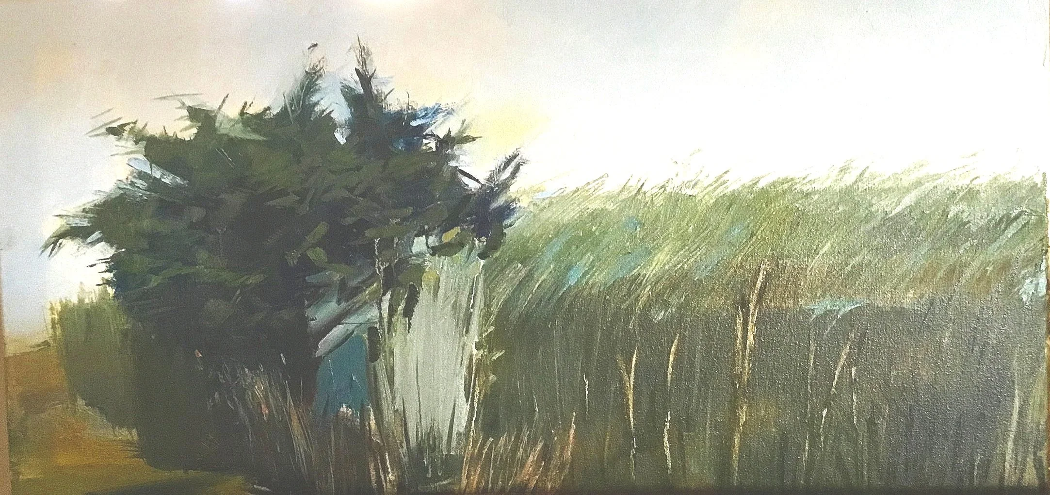 Gallery B Show 2022 — Kathleen Byrnes
