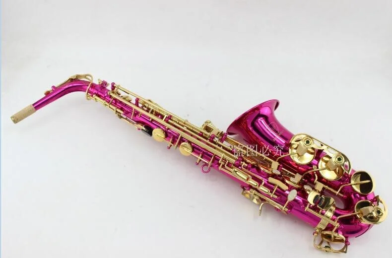 The Complete Guide to Buying a Saxophone for Beginning Parents and ...