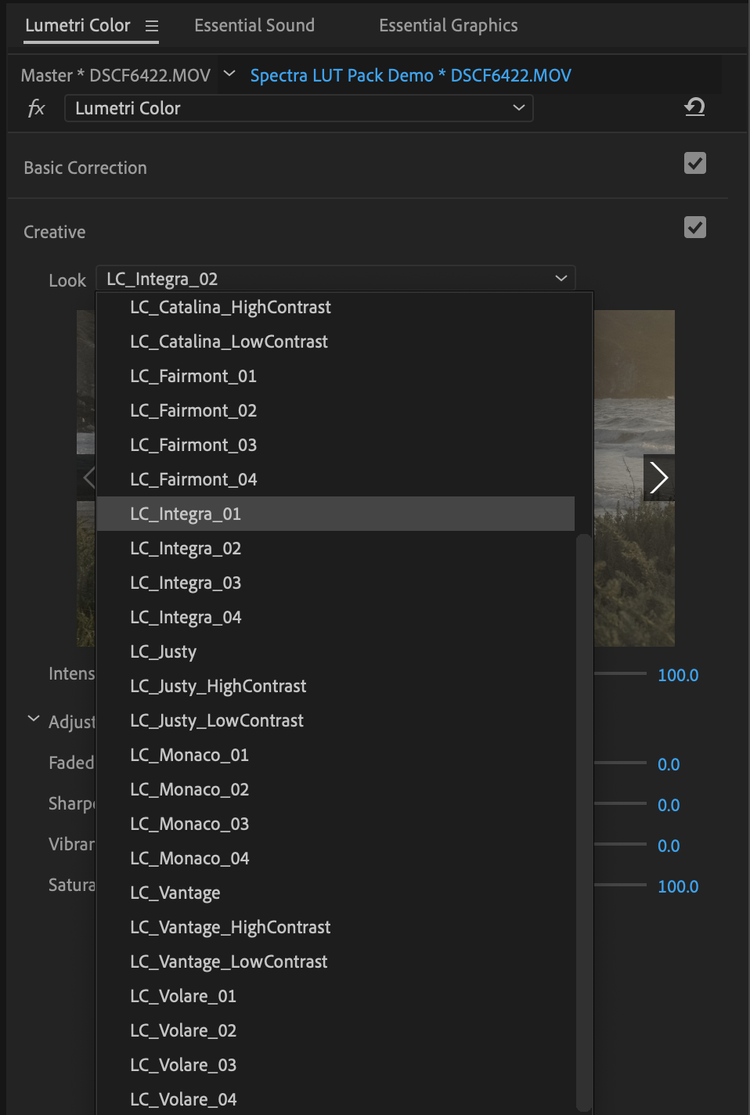 How to Install LUTs in Adobe Premiere Pro — LUT Co