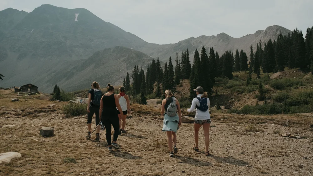 Fujifilm F-Log LUTs and Creative Looks — LUT Co