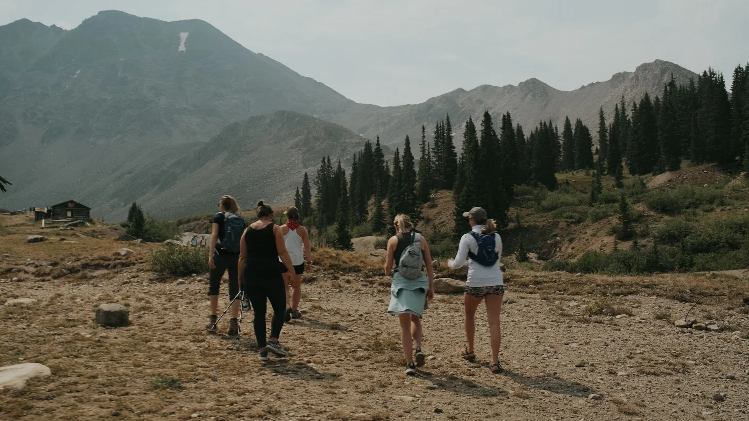 Fujifilm F-Log LUTs and Creative Looks — LUT Co