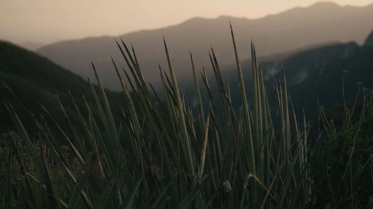 Fujifilm F-Log LUTs and Creative Looks — LUT Co