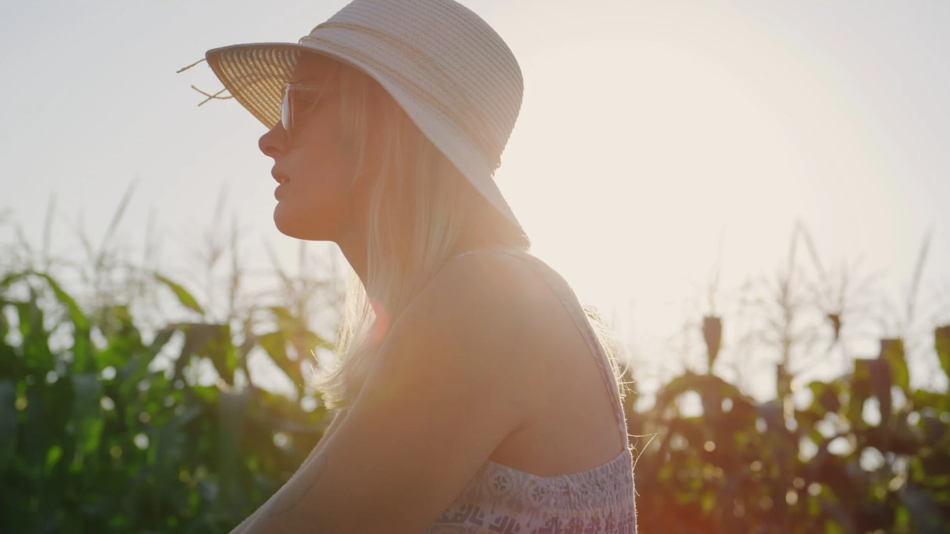 Canon C-Log and C-Log3 to Rec.709 Conversion LUTs — LUT Co