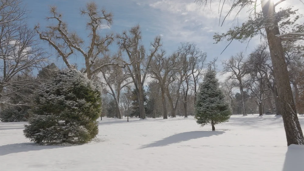 DJI D-Log LUTs — LUT Co