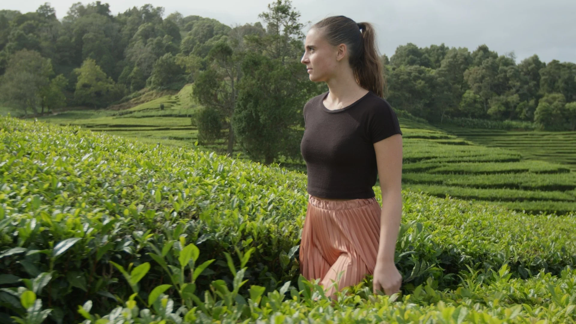 DJI D-Log LUTs — LUT Co