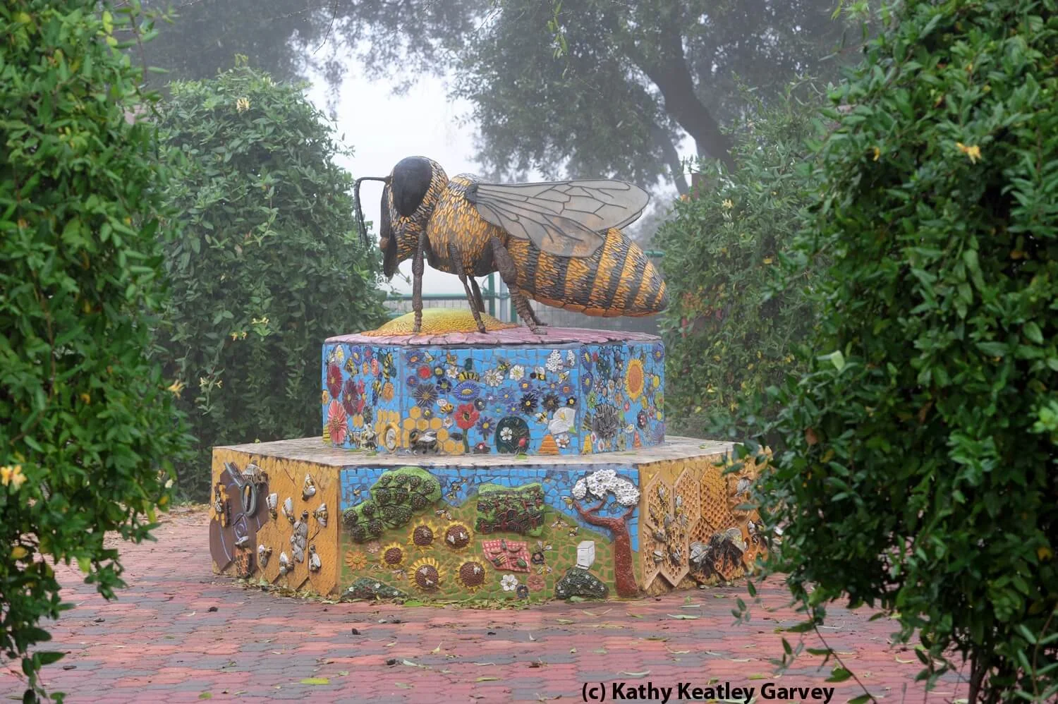 Honey Bee Haven Outdoor Museum Design at U of C Davis — The Sibbett Group