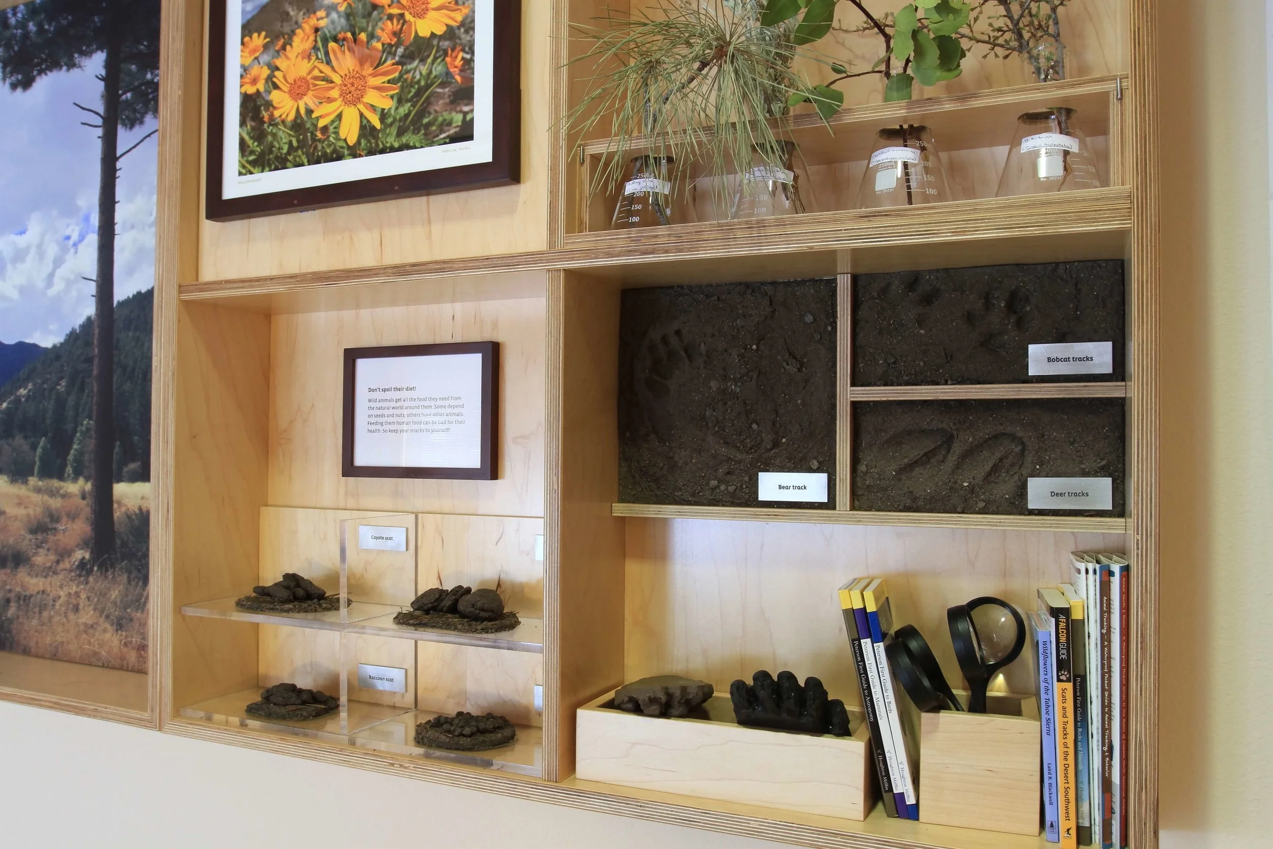 Interactive Visitor Center Design at Galena Creek by The Sibbett Group ...