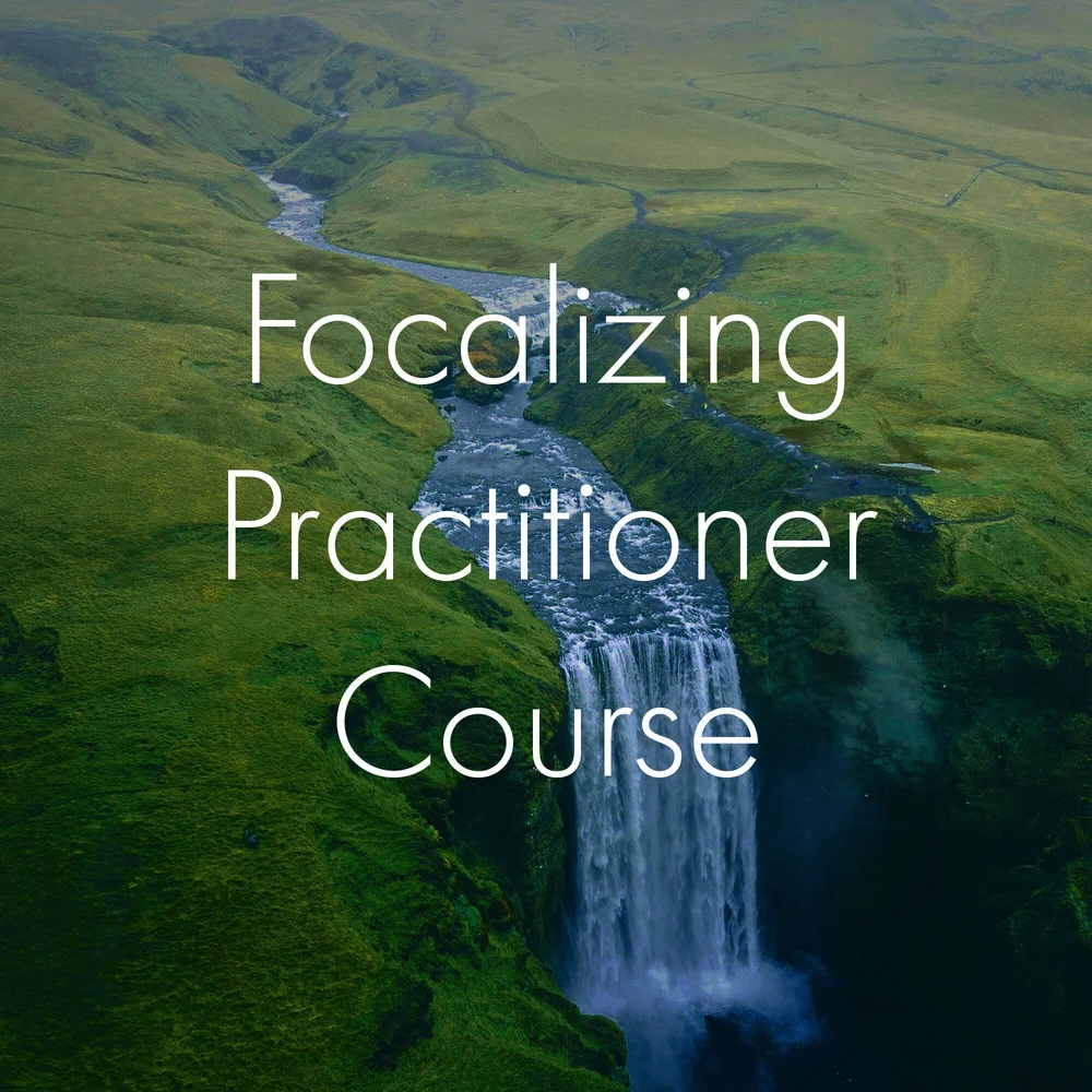 The Focalizing School — The Focalizing Institute