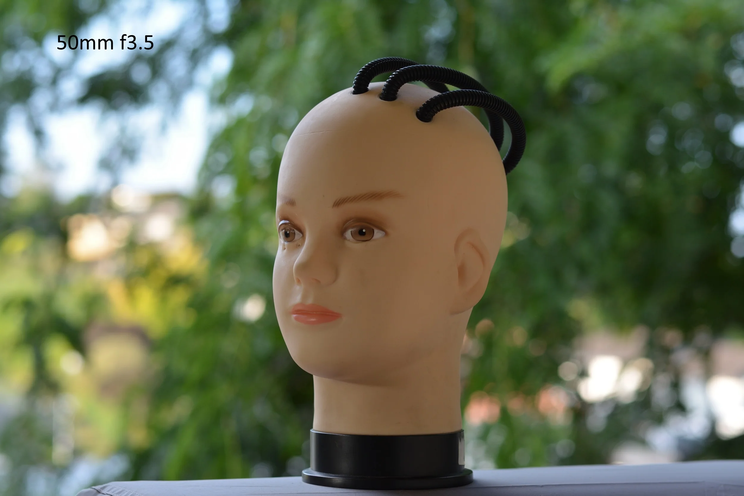 Nikon 50mm f1.8G vs 16-80mm vs 70-300mm for portraits/headshots ...
