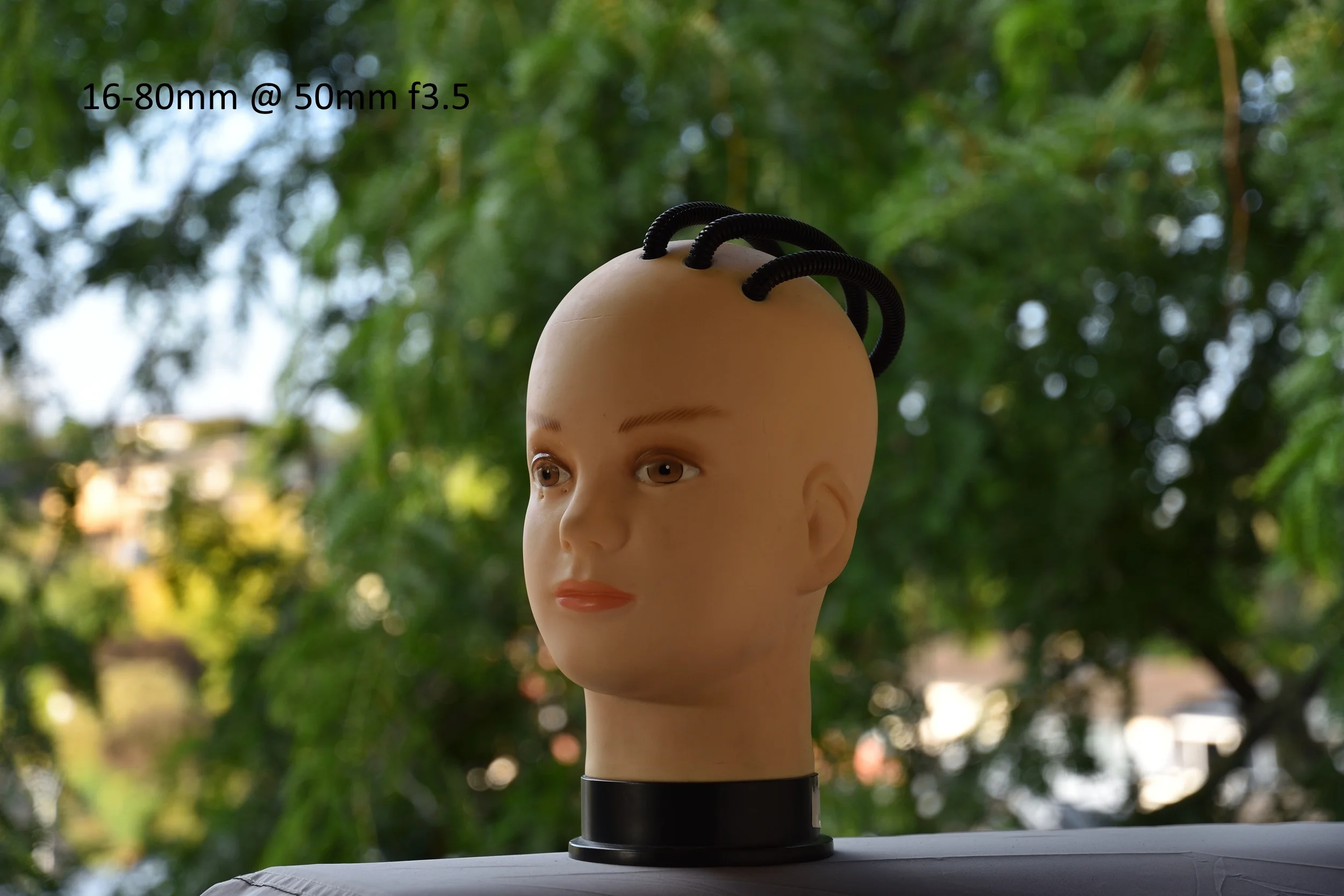 Nikon 50mm f1.8G vs 16-80mm vs 70-300mm for portraits/headshots ...