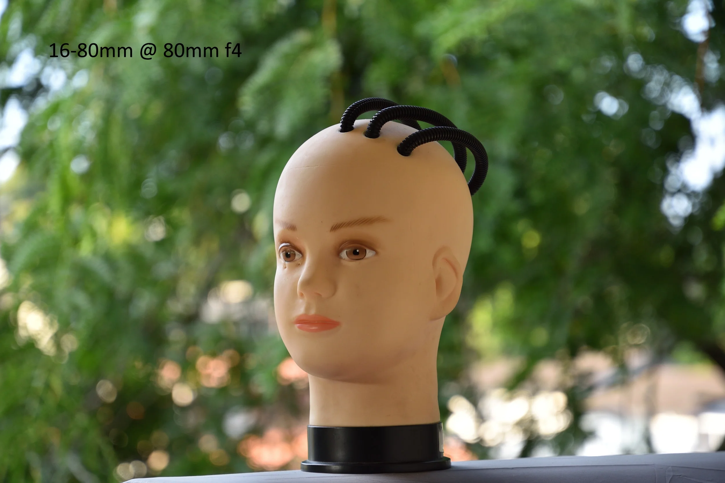 Nikon 50mm f1.8G vs 16-80mm vs 70-300mm for portraits/headshots ...