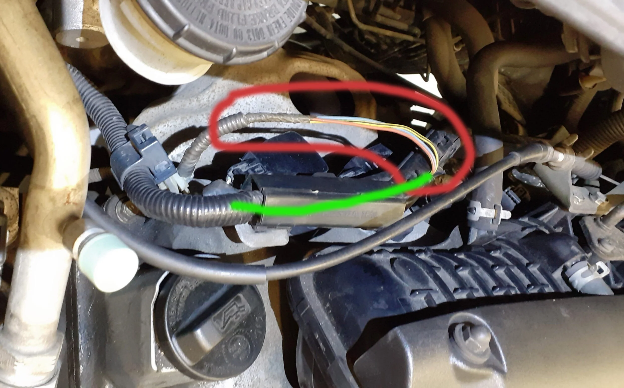 Honda Fit/Jazz crank sensor interference — Springbok Photography