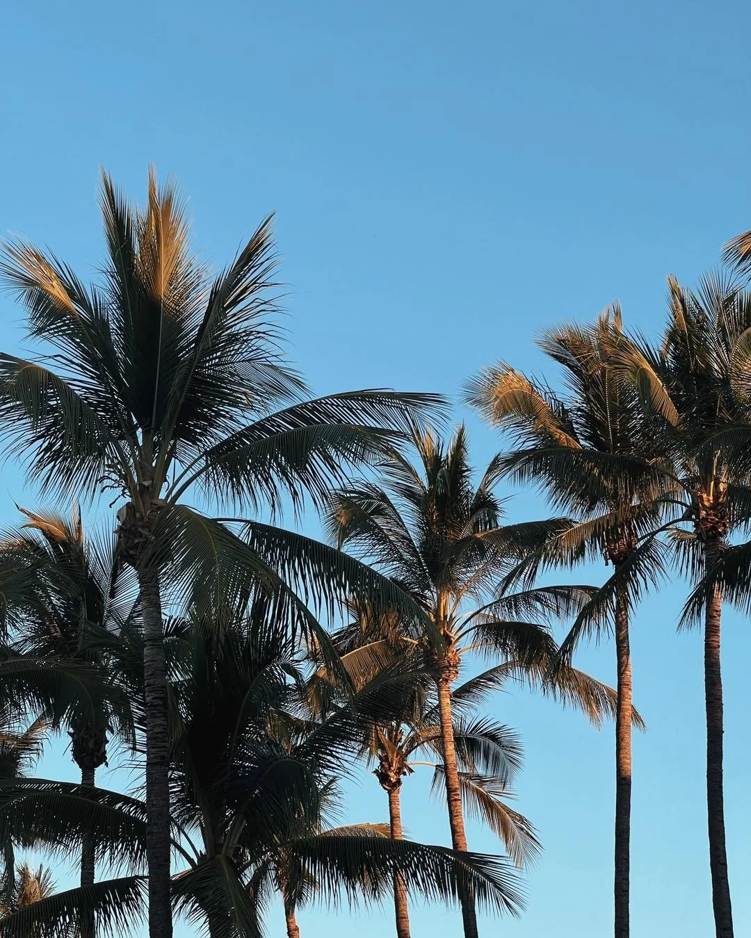 Shorehouse Townsville