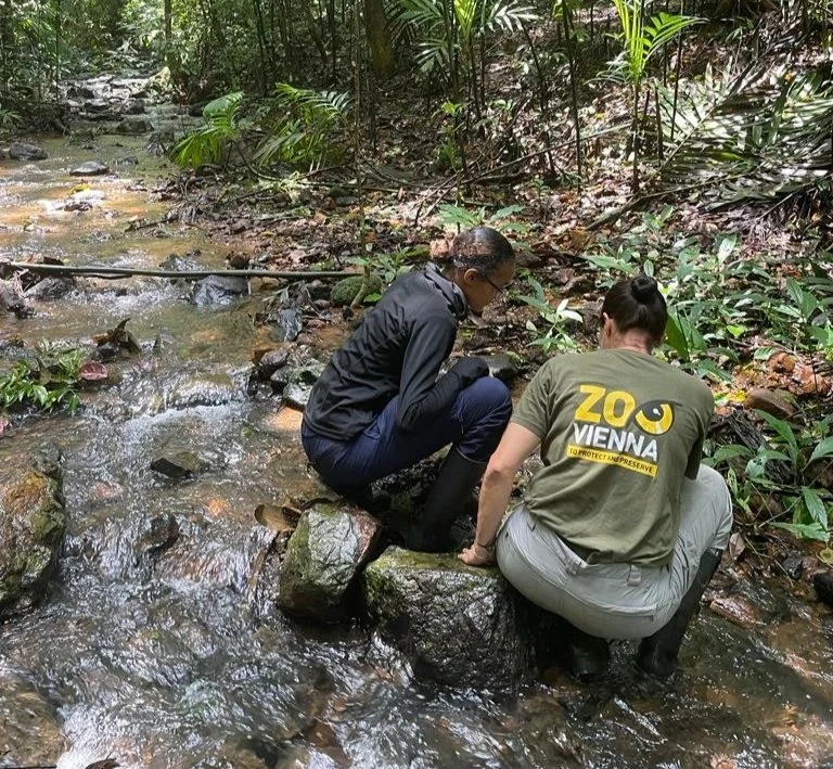 IRES - Austria and India — Fuxjager Lab