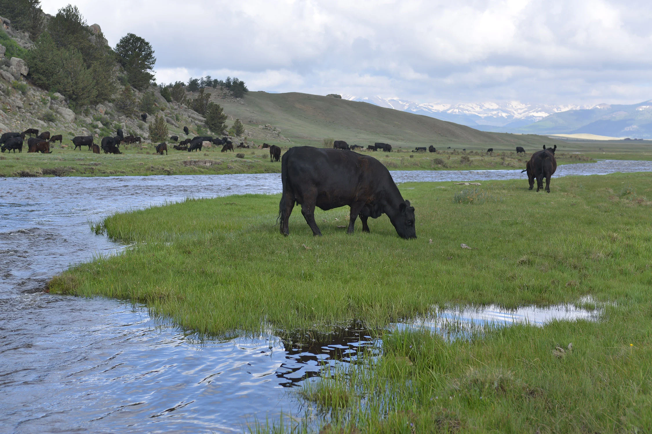 Colorado Cattle Ranch Photo Gallery — Eagle Rock Ranch