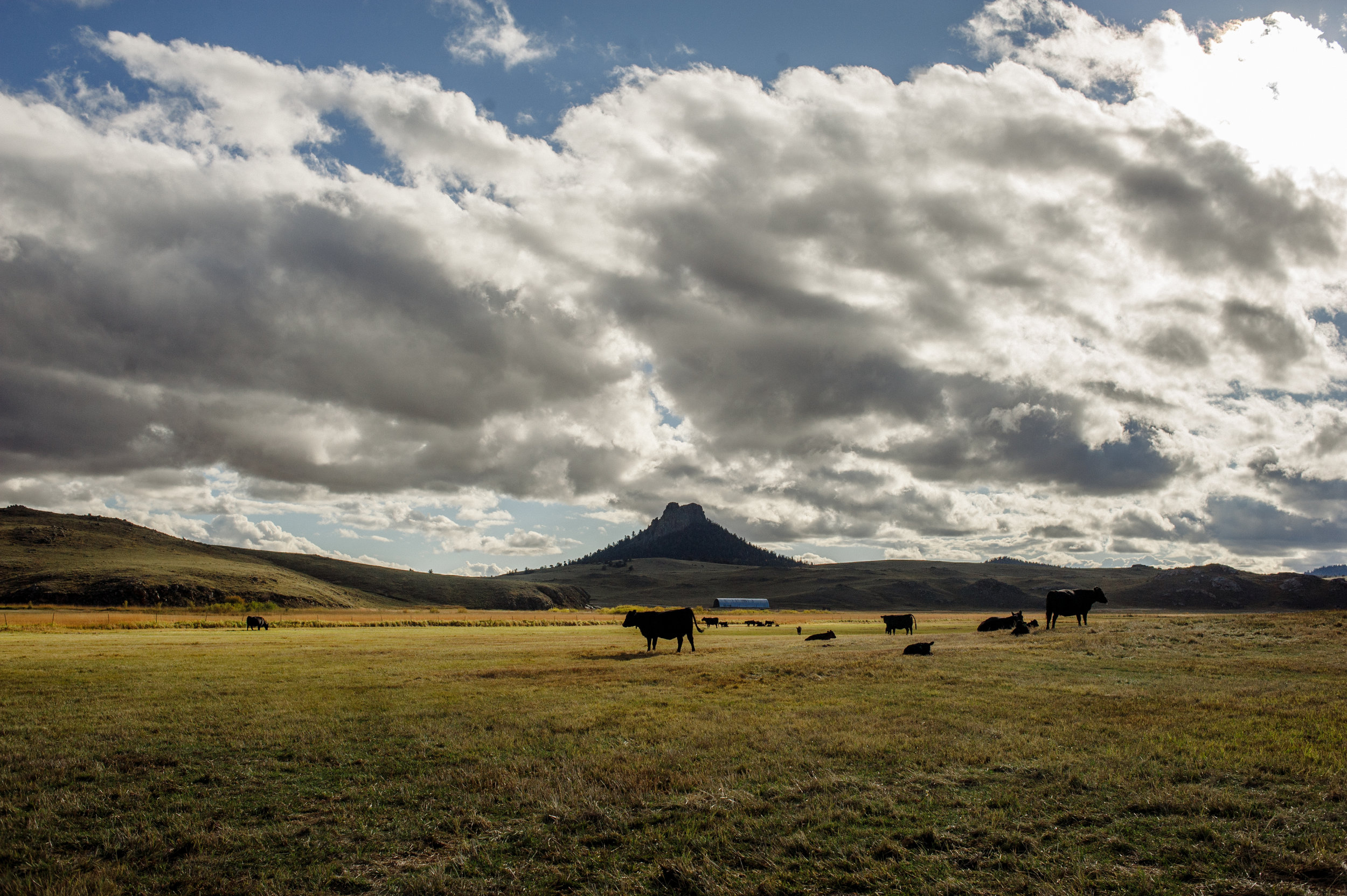History of the Ranch — Eagle Rock Ranch