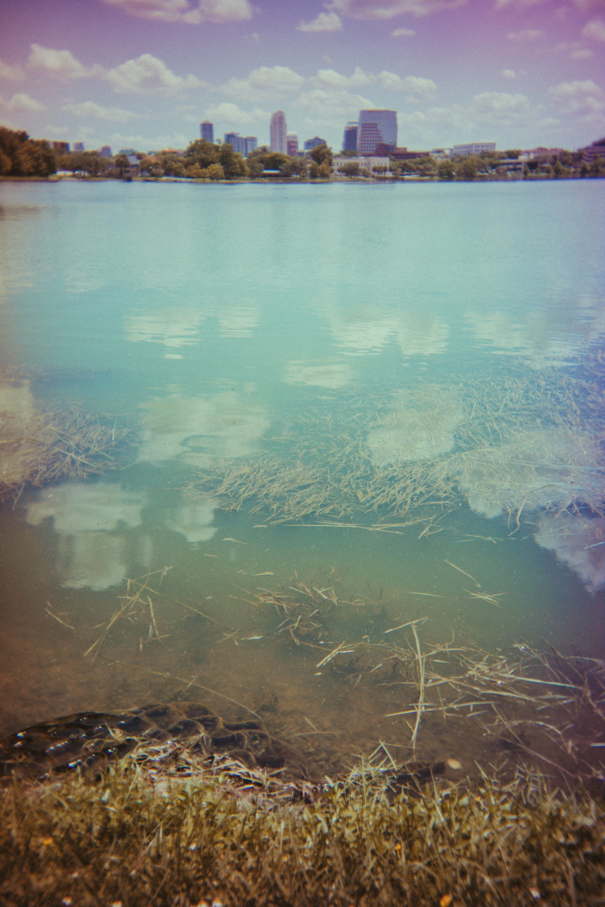 First Impression Of The Pocket Dispo Disposable Camera Lens — The Work ...