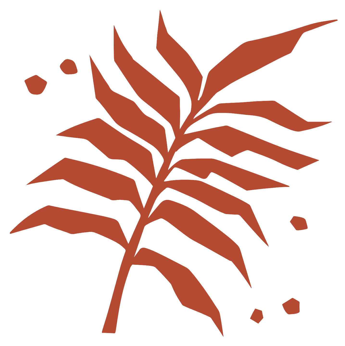 About Me — TM Counseling- Seattle, WA