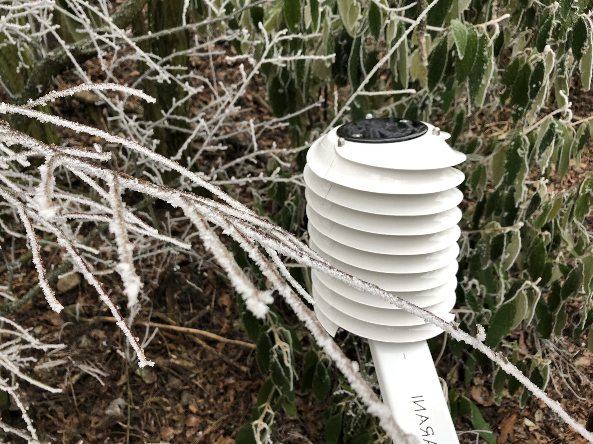 A personal weather station that just belongs in nature — BARANI