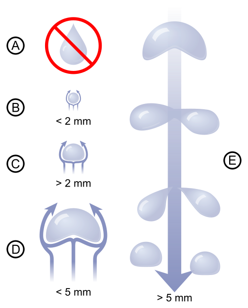Rain drop size and speed of a falling rain drop — BARANI