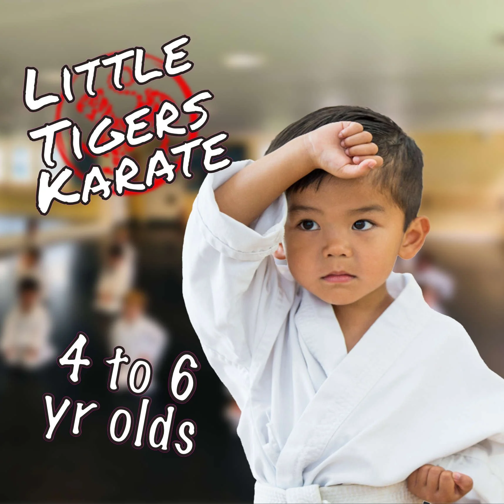 Invicta Karate Academy Sevenoaks