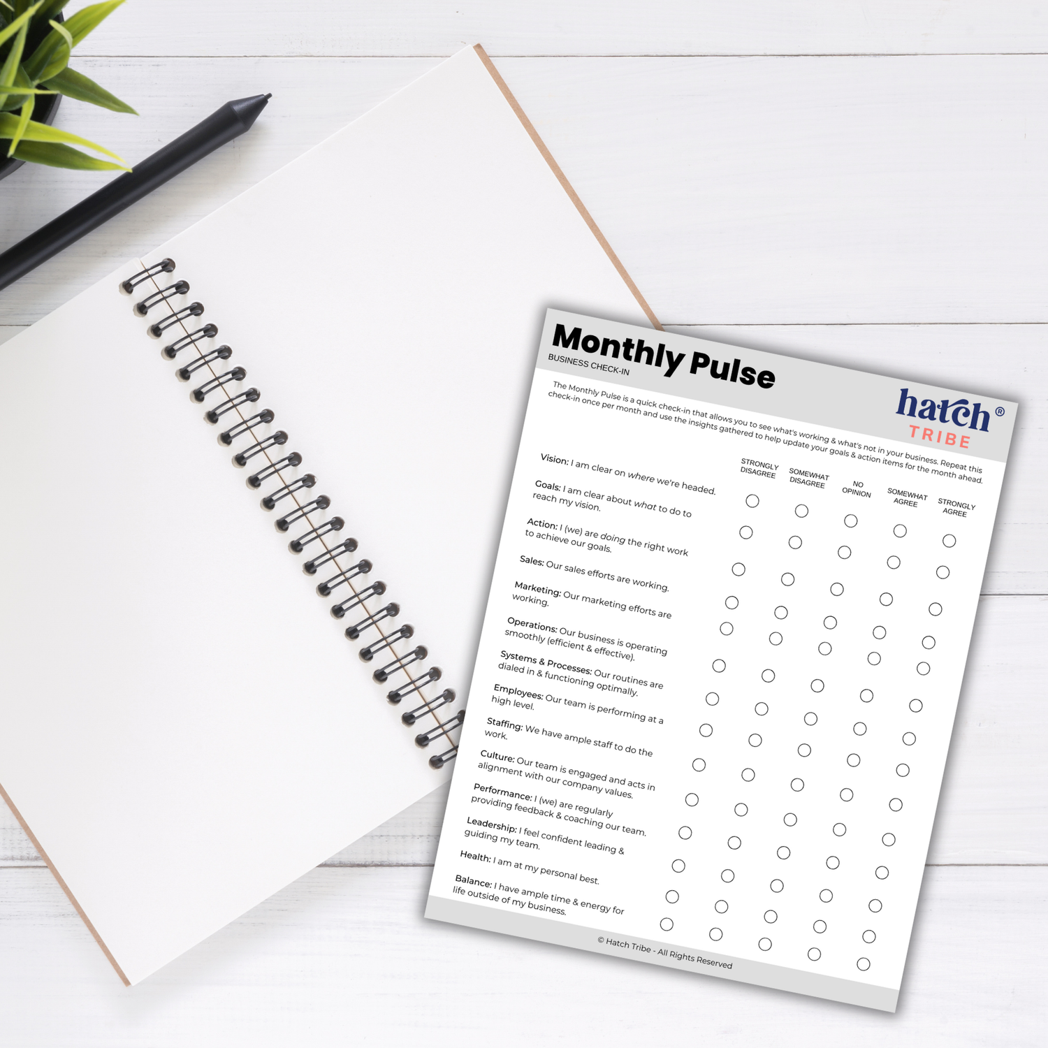 Core Values Workbook: Discover Your Most Important Values — Hatch Tribe