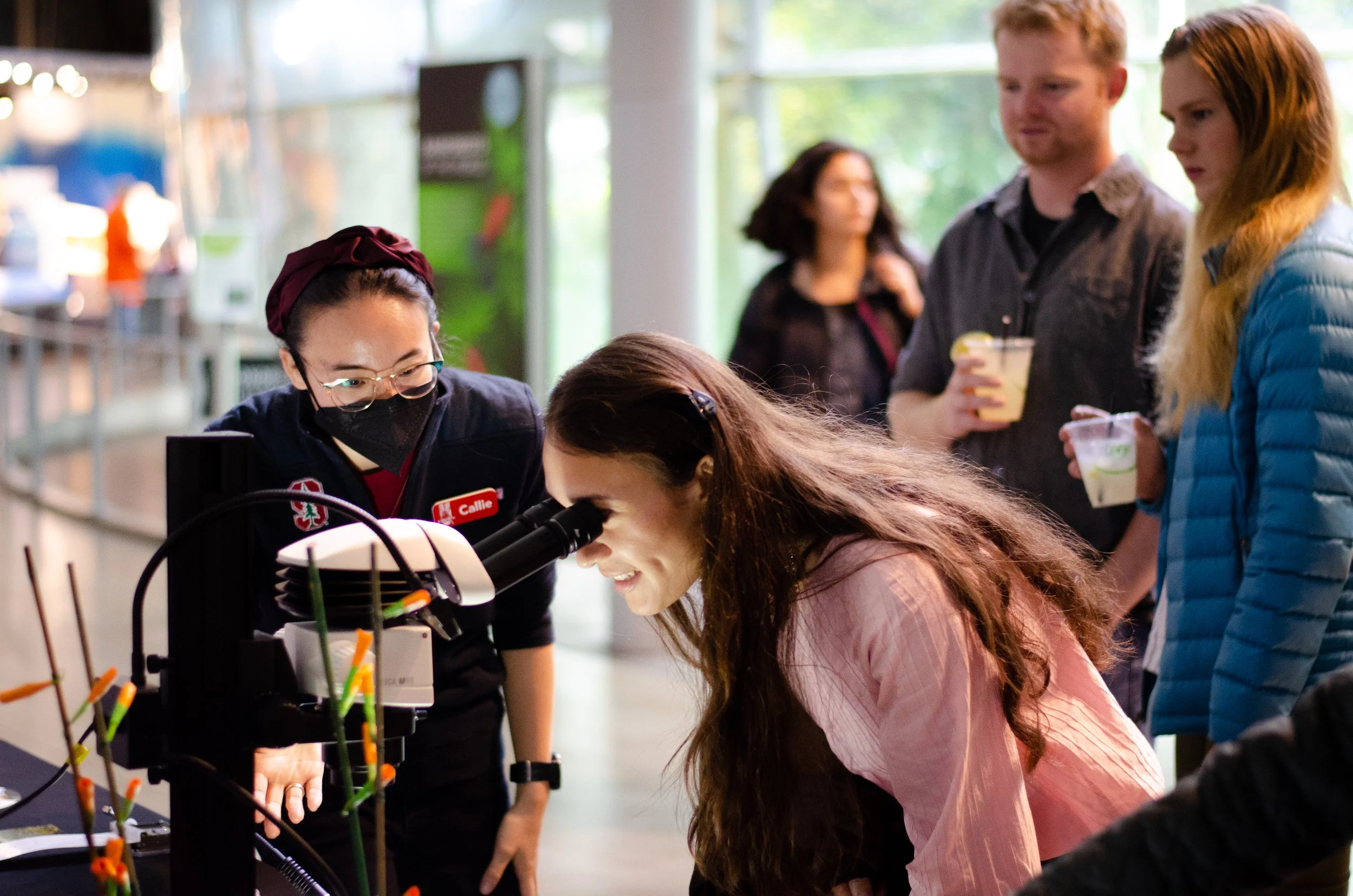 Research — Callie R. Chappell