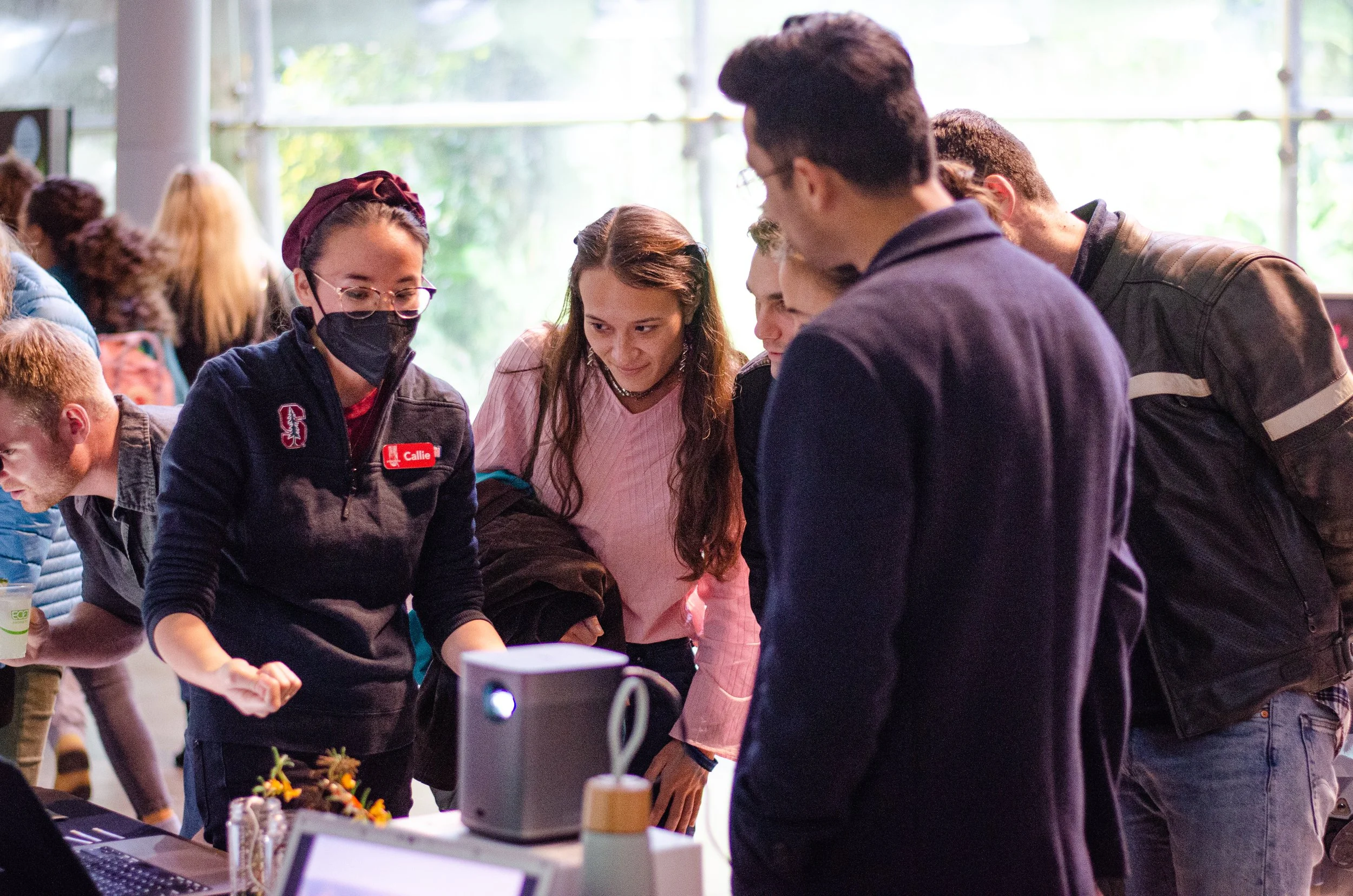 Research — Callie R. Chappell