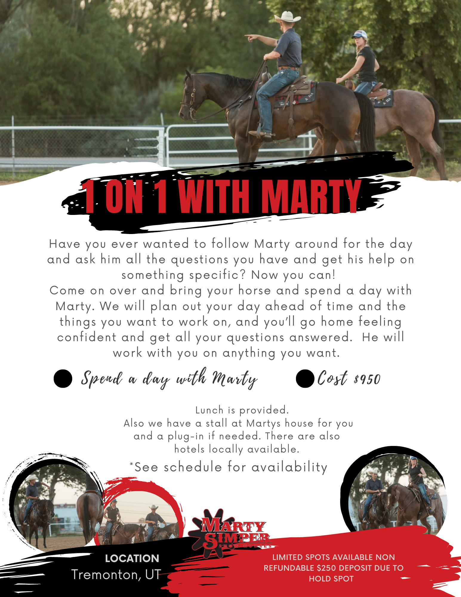 Other Services — Marty Simper Show Horses