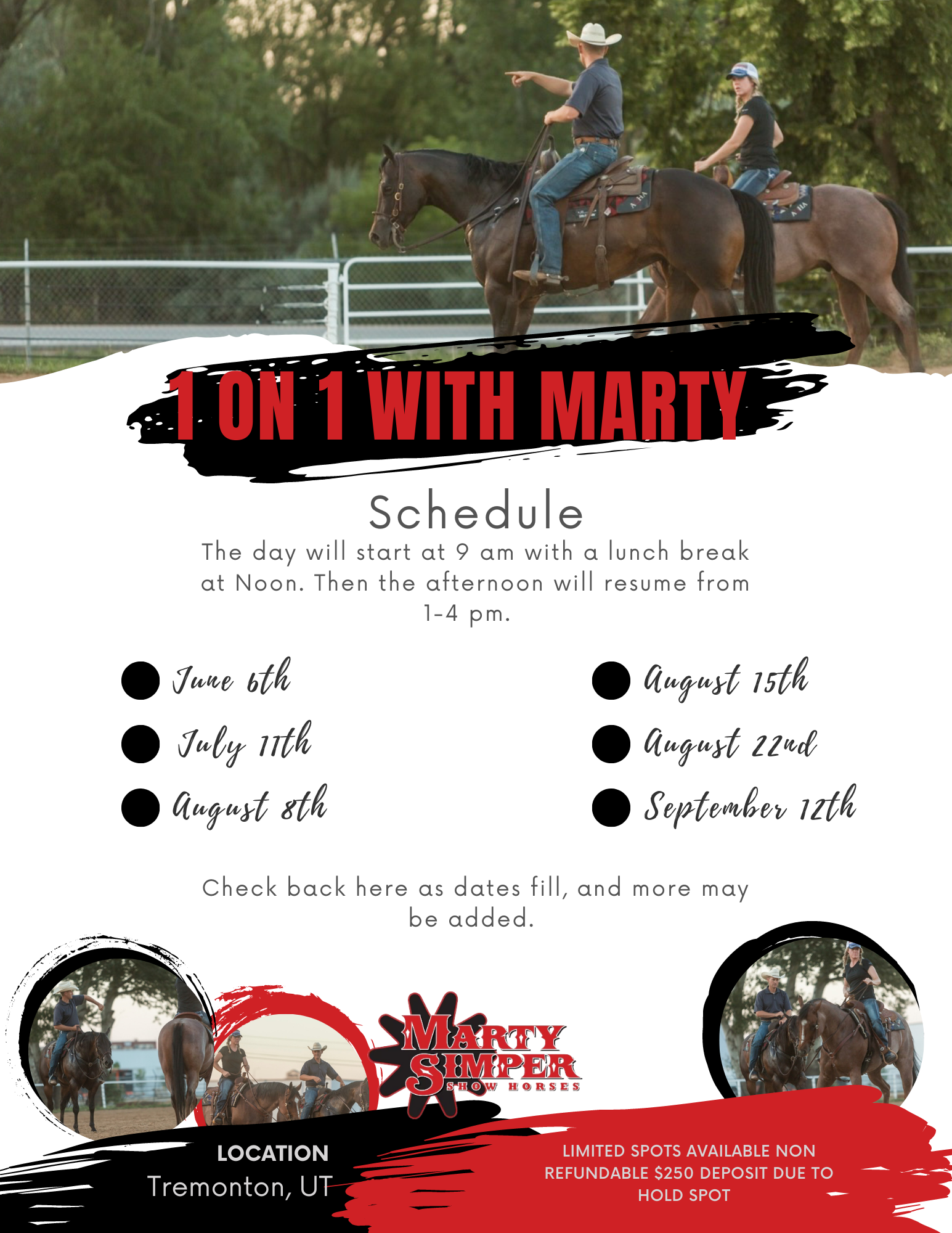 Other Services — Marty Simper Show Horses