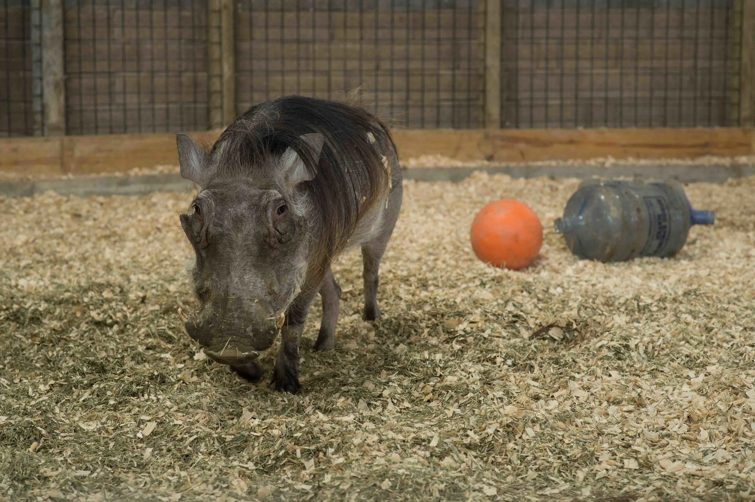 The Creature Conservancy