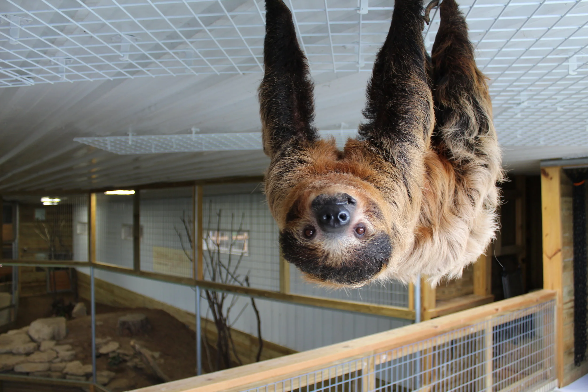 The Creature Conservancy