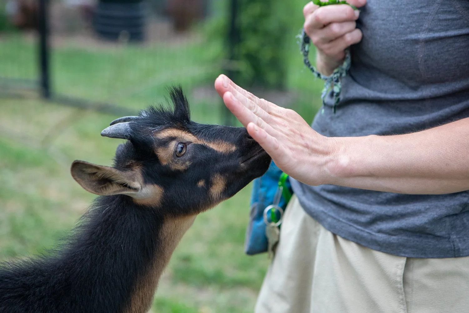 The Creature Conservancy