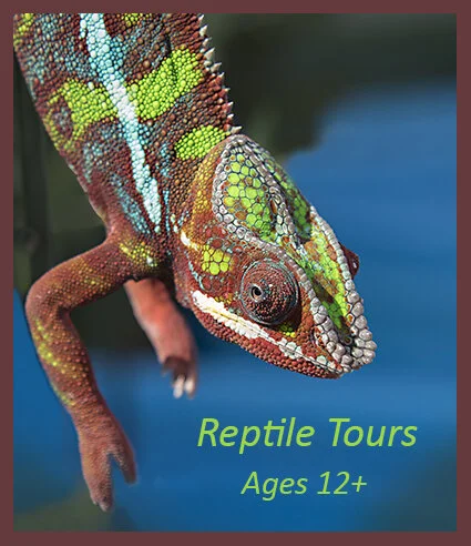 The Creature Conservancy